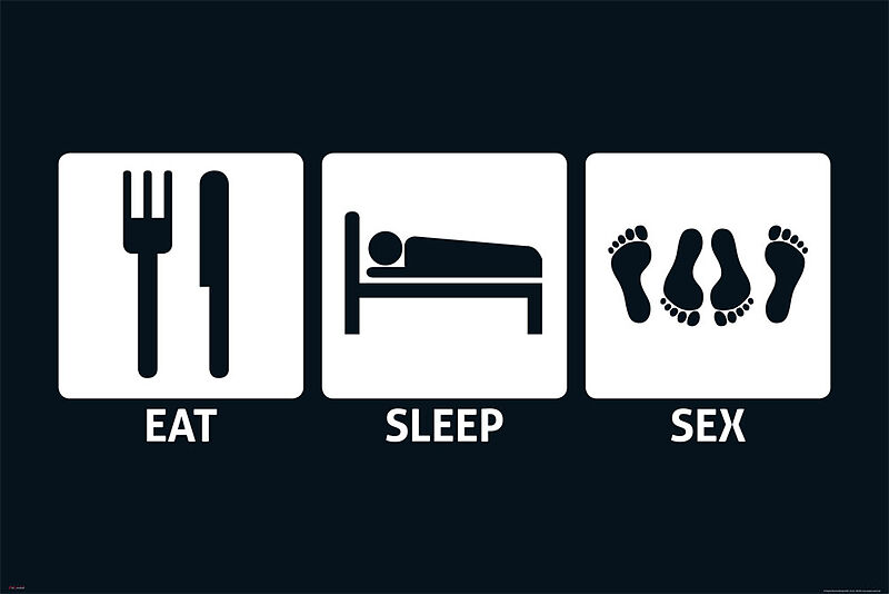 Eat Sleep Sex Poster Maxi Posters Online Kaufen Ex Libris