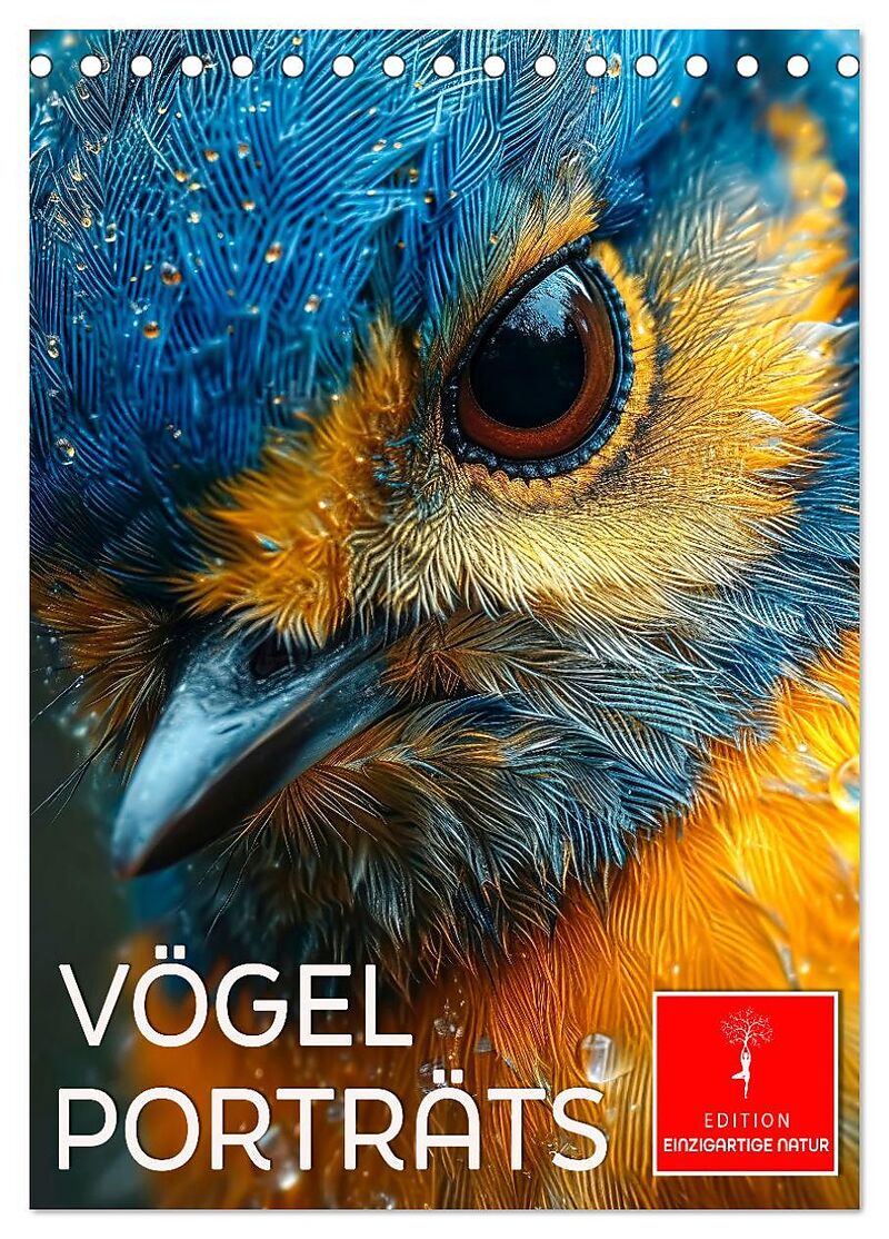 Vögel Porträts (Tischkalender 2026 DIN A5 hoch), CALVENDO ...