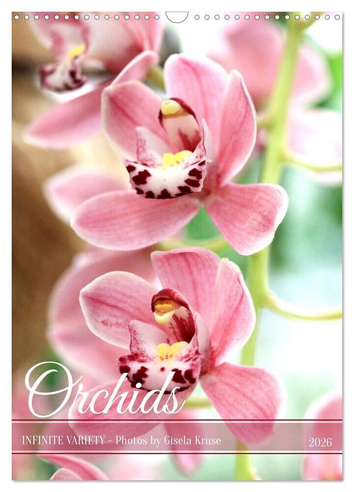 Orchids - Infinite Variety (Wall Calendar 2026 DIN A3 portrait ...
