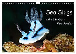 Sea Slugs - Little Wonders - Pure Beauties (Wall Calendar 2026 DIN A4 ...