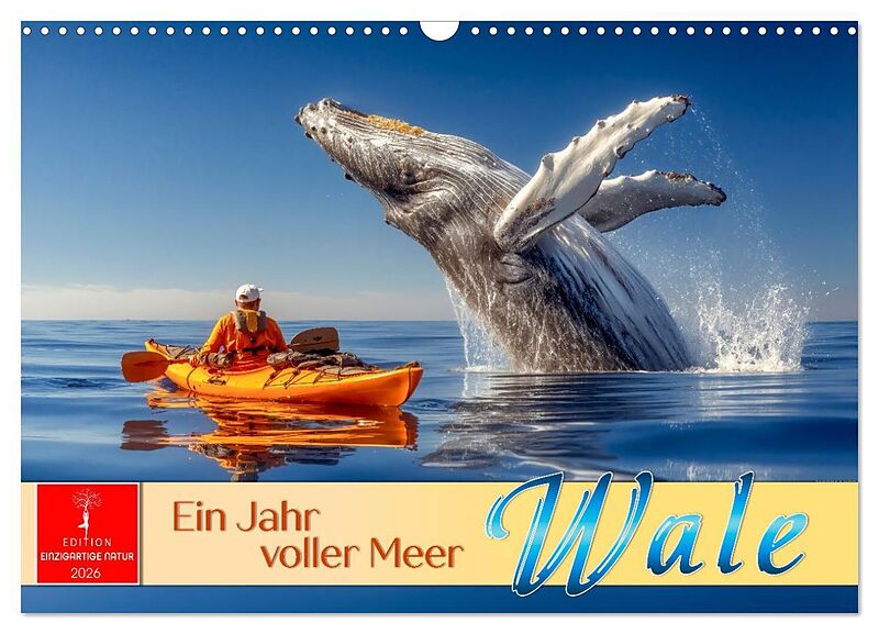 Wale - ein Jahr voller Meer (Wandkalender 2026 DIN A3 quer), CALVENDO ...