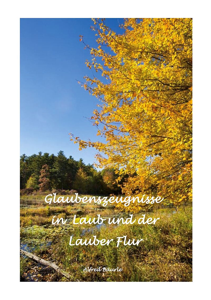 Glaubenszeugnisse in Laub und der Lauber Flur von Alfred Bäurle: Buch ...