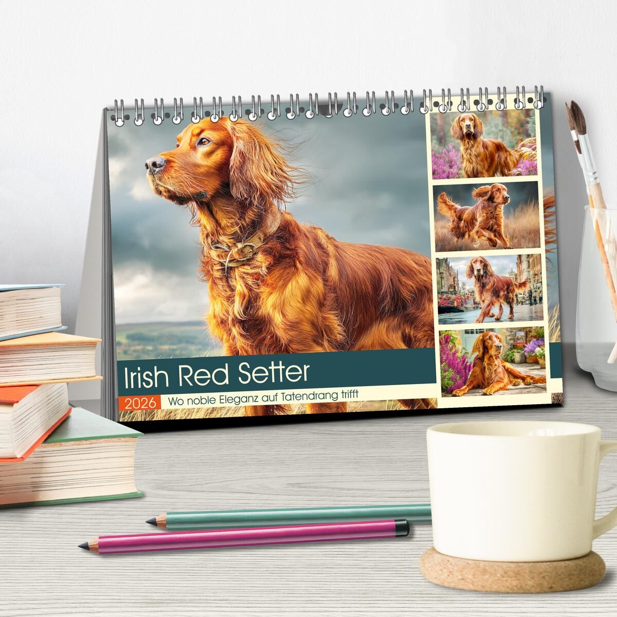 Irish Red Setter. Wo noble Eleganz auf Tatendrang trifft (Tischkalender ...