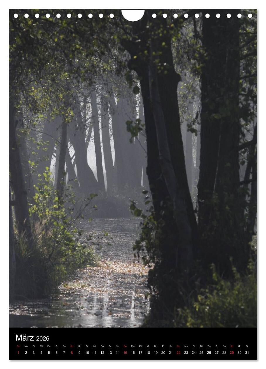 Wunderbarer Spreewald (Wandkalender 2026 DIN A4 hoch), CALVENDO ...